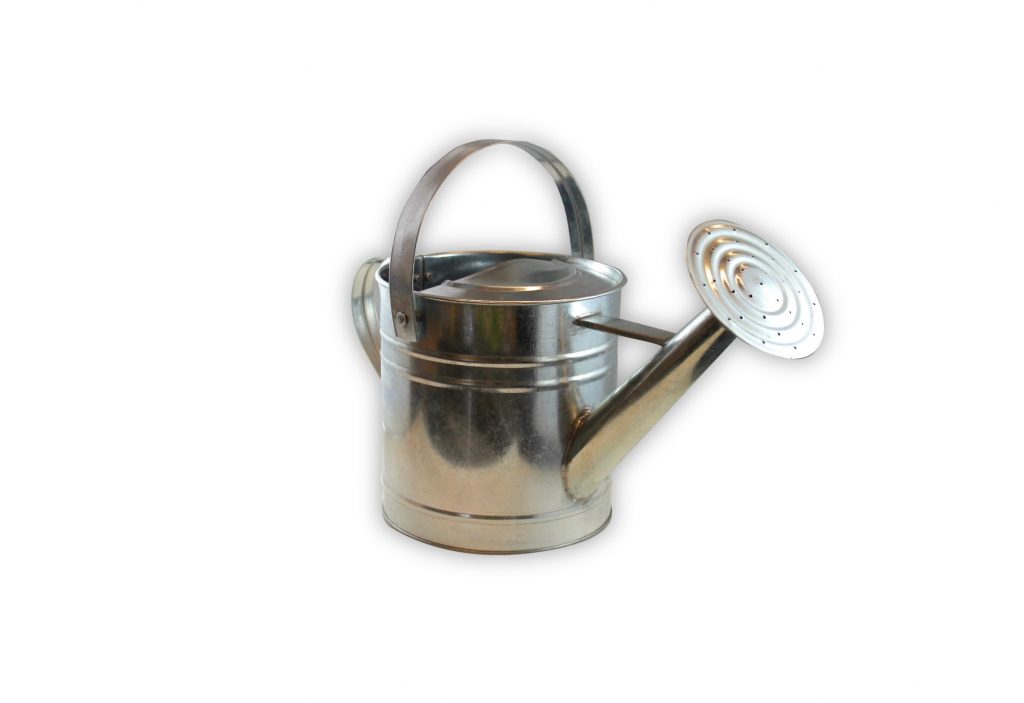 Twigz Pro Galvanised 3L Watering Can - Gardening 4 Kids