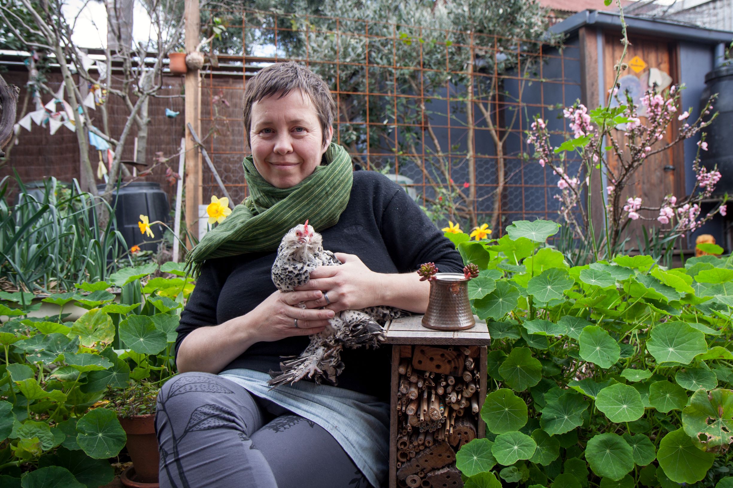 Darebin Backyard Harvest Festival to blossom this May - Gardening 4 Kids