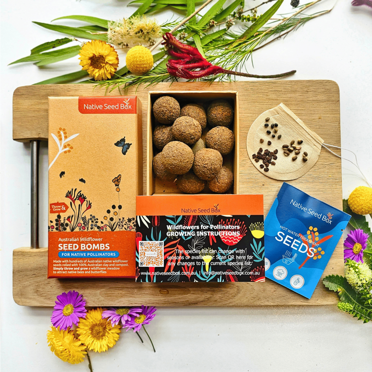 Seed Box for Native Pollinators - Gardening 4 Kids